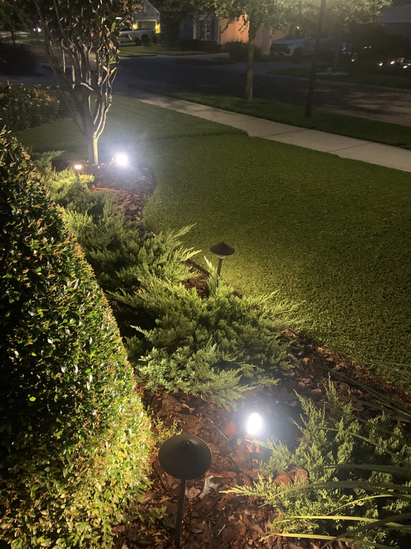 6022 D133 D790 45 CD BBFD 3502 CB9 BA4 A4 — Postimages