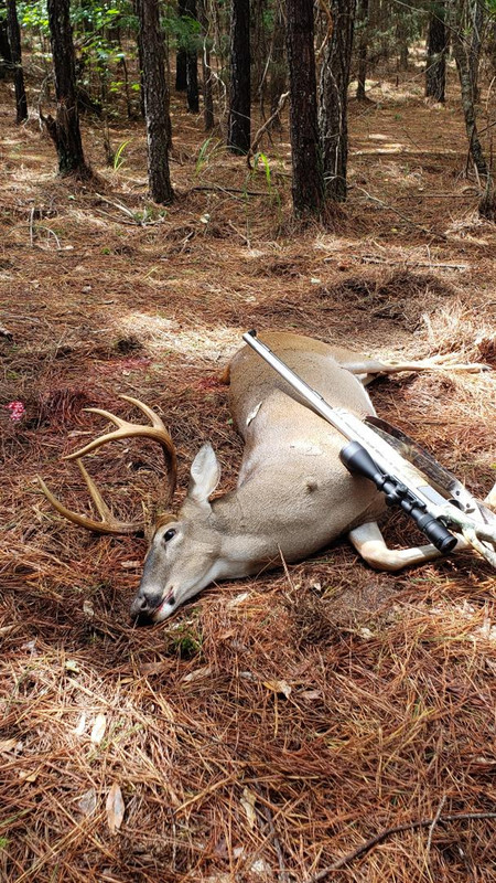 oct 1 buck2 — Postimages