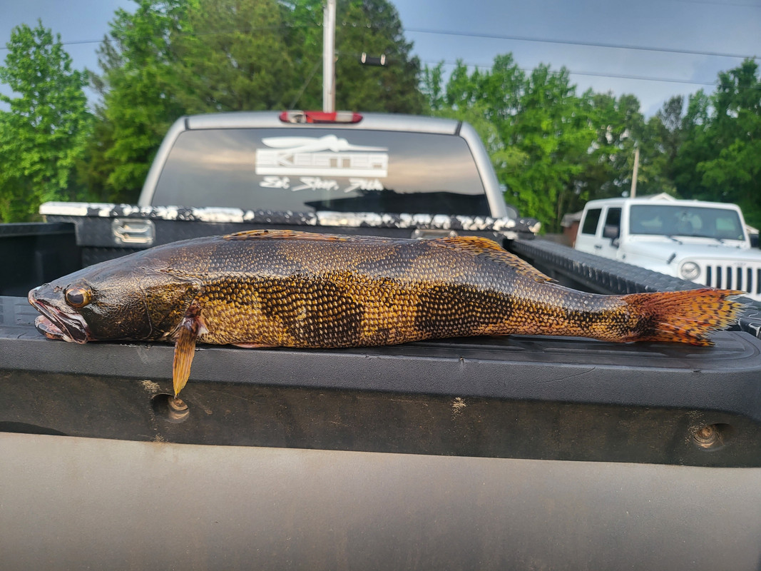 IMG 20220521 194451 782 — Postimages