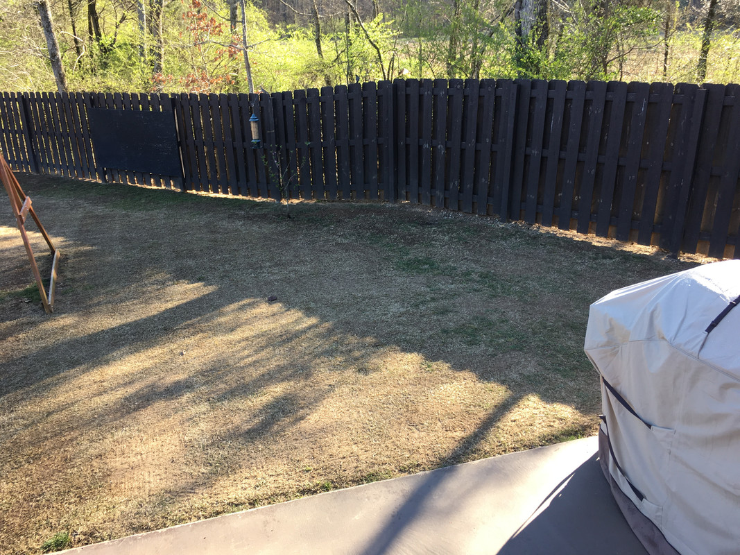 IMG 2176 — Postimages