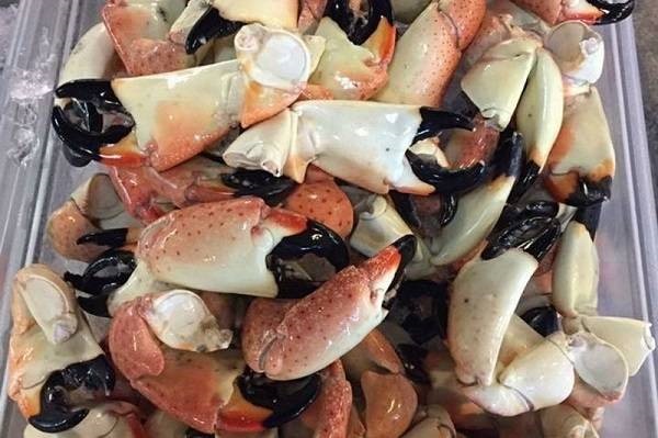 Snow Crab - spoiled? > General Discussion > AR15.COM