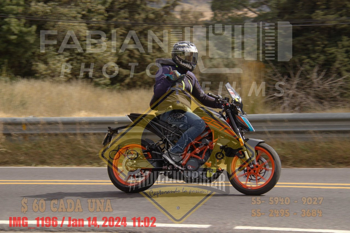 IMG 1196 — Postimages