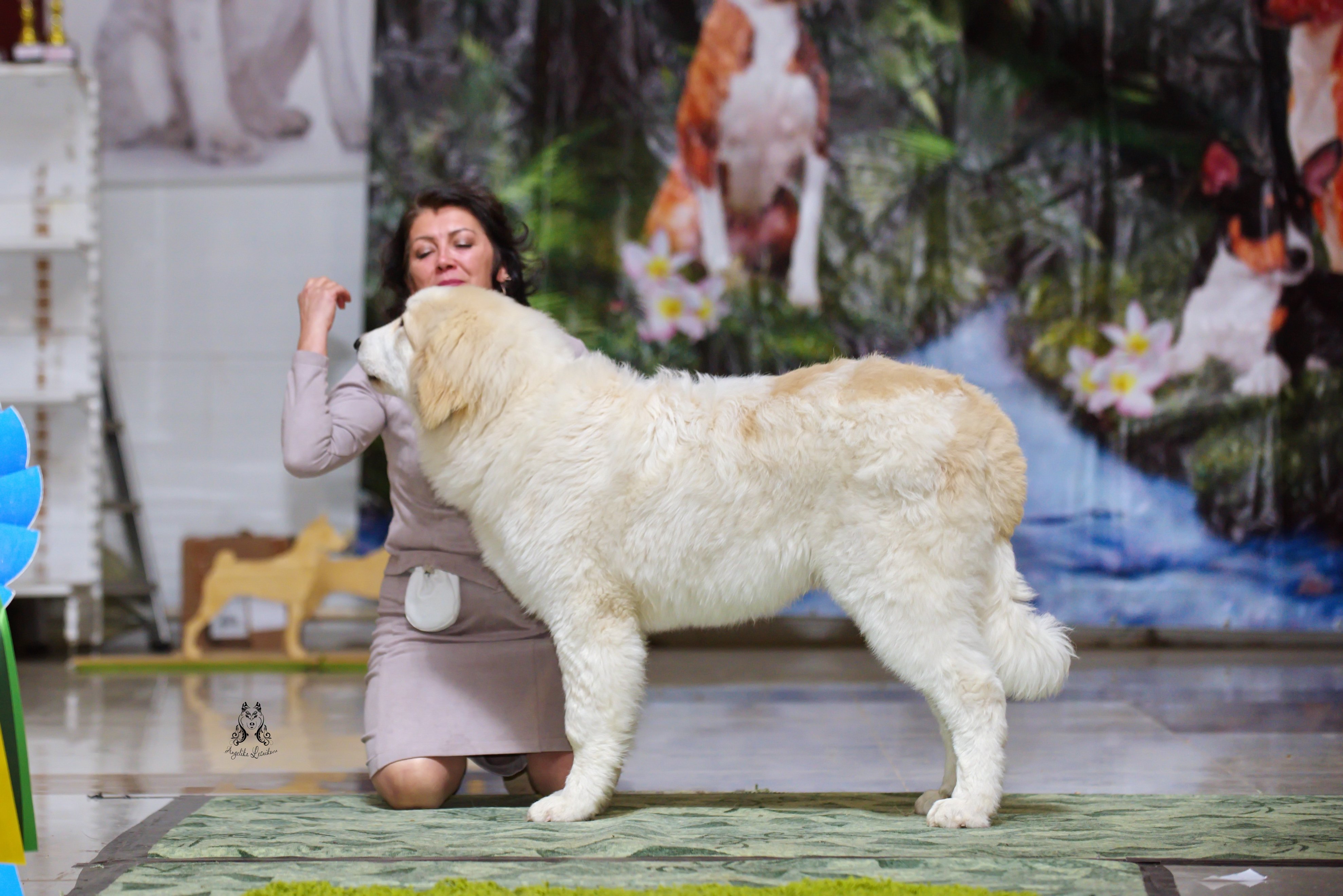 DSC 1698 — Postimages