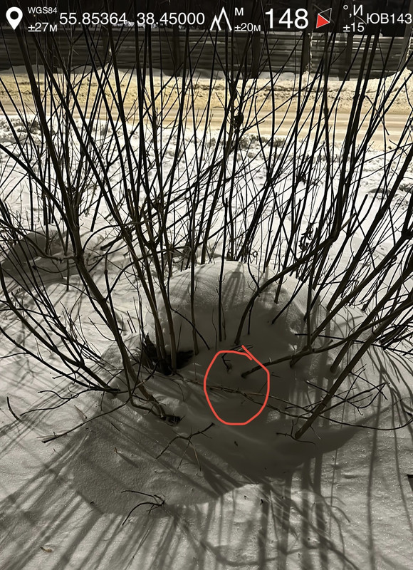 98 C015 D2 EF9 D 42 E6 8117 160 BD1847 F75 — Postimages