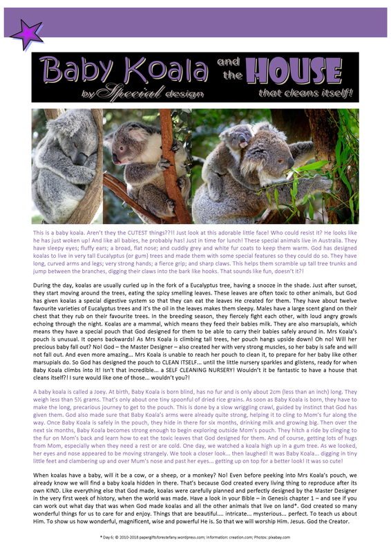 PGFE Koala Article for kids A4 — Postimages