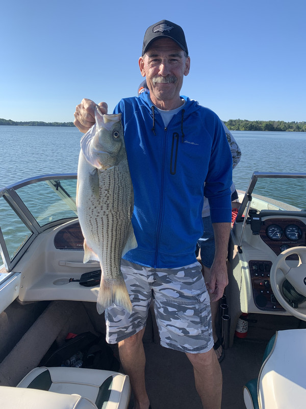 99 A9 C914 D3 C4 4969 AA16 79 A9 BF442693 — Postimages