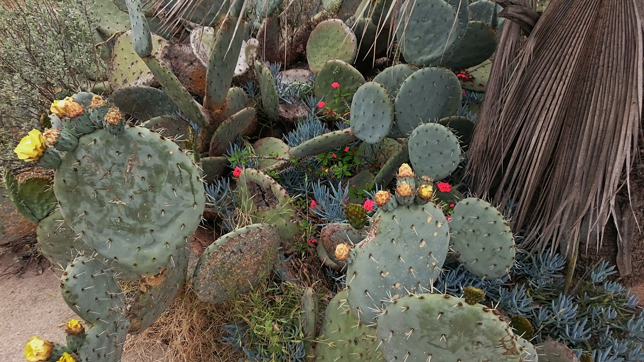 DSC 0137 — Postimages