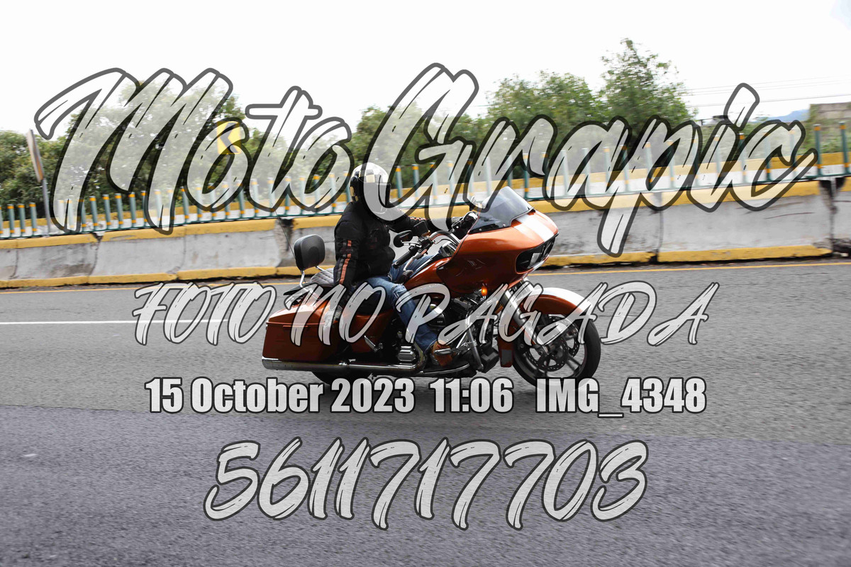 motgr IMG 4348 — Postimages