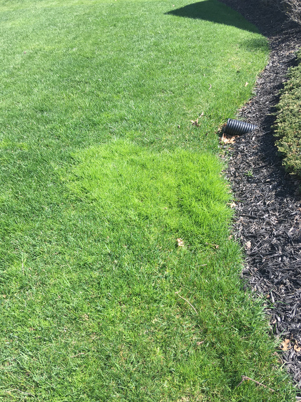 front lawn — Postimages