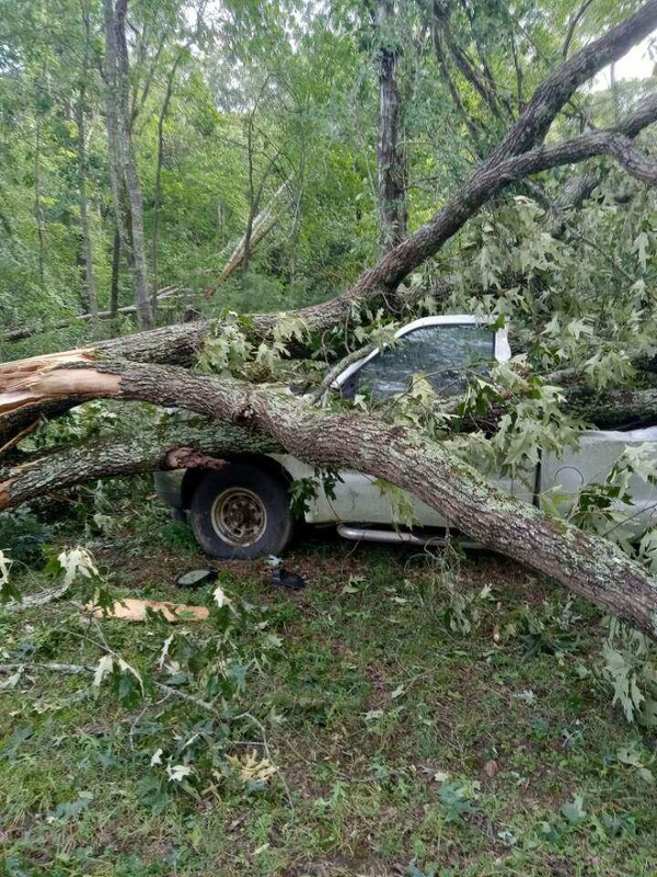 imagejpeg 0006 — Postimages