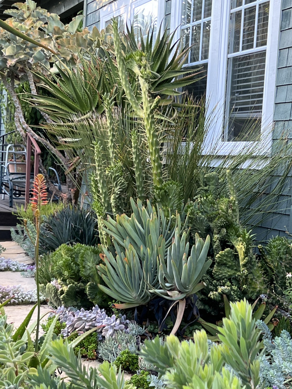 IMG 7746 — Postimages