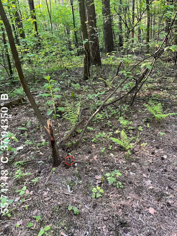 IMG 2672 — Postimages