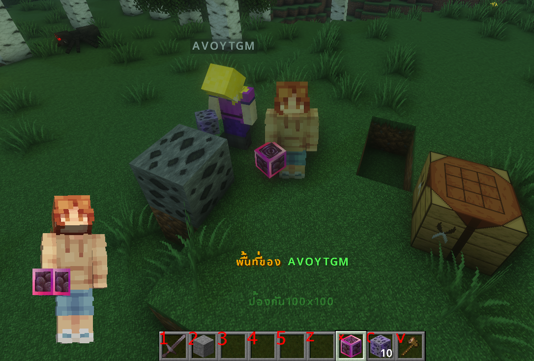 Actionbar in Protectionstone | SpigotMC - High Performance Minecraft Community