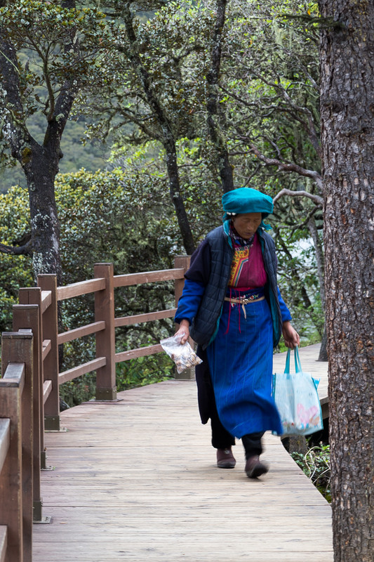IMG 2898 Shangri La Pudacuo national Park Shudu Lake — Postimages