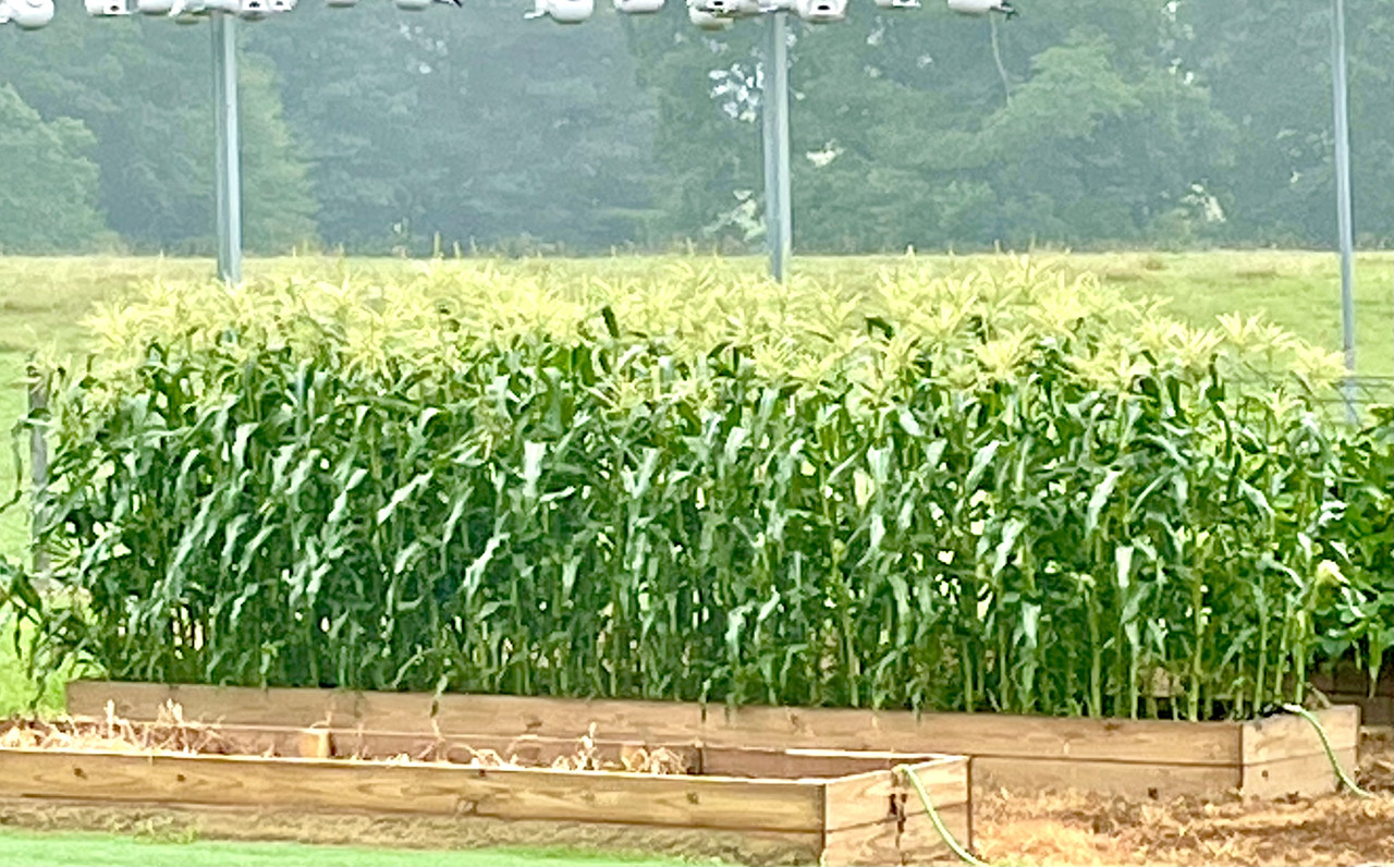 9 C33 A9 E2 CB4 B 41 D1 BFEC 5 F2 A95980854 — Postimages