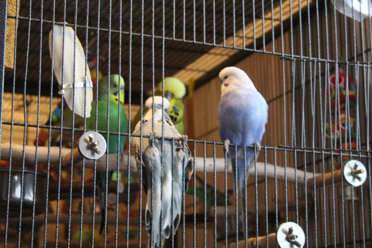 20231212140537 IMG 2075 — Postimages