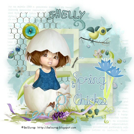 1 spring chicks shelly zpsk5fffolo — Postimages