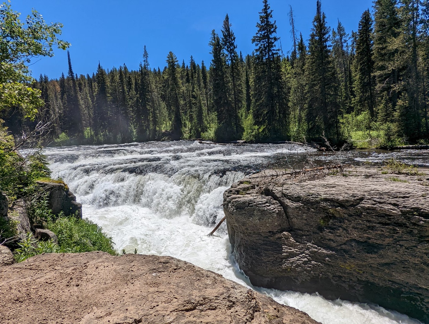 sheep falls — Postimages