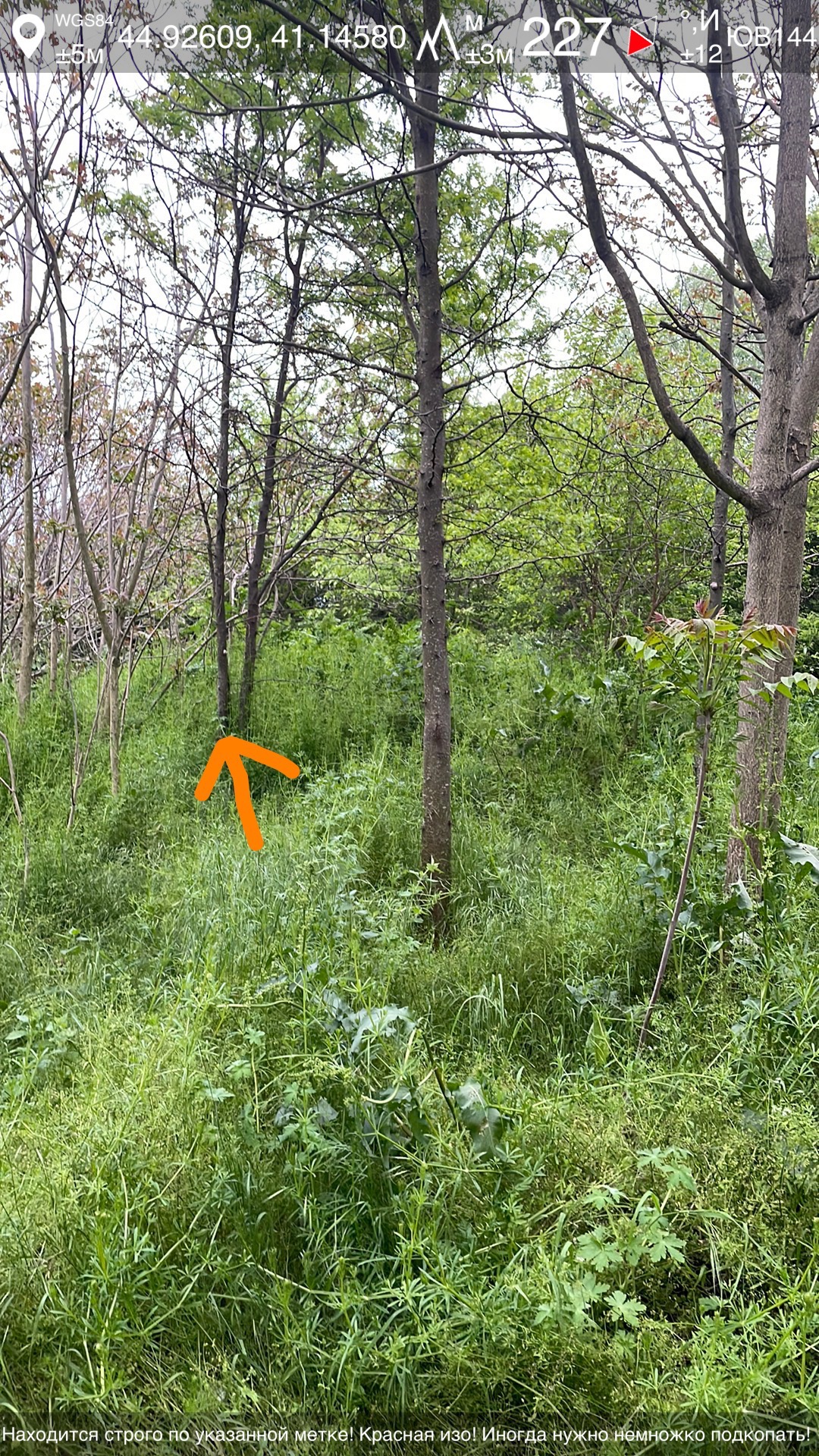 0 F7360 E8 3 CAE 40 F3 9 E8 D B1 F6 DD637 E1 E — Postimages