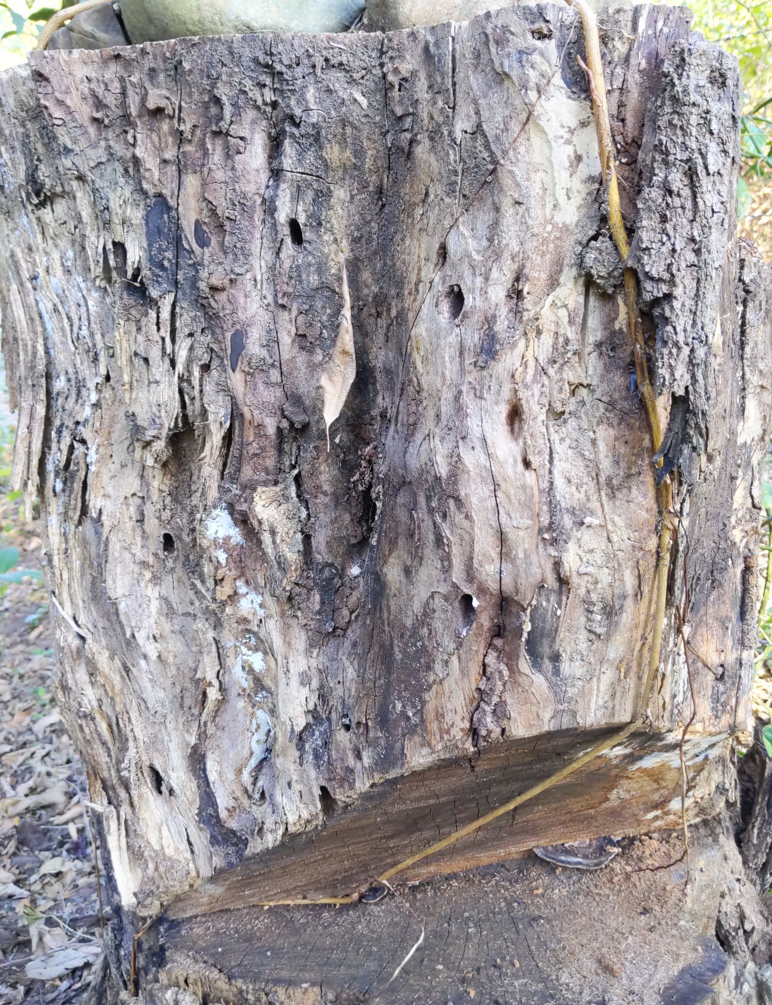 Imagepipe 1408 — Postimages