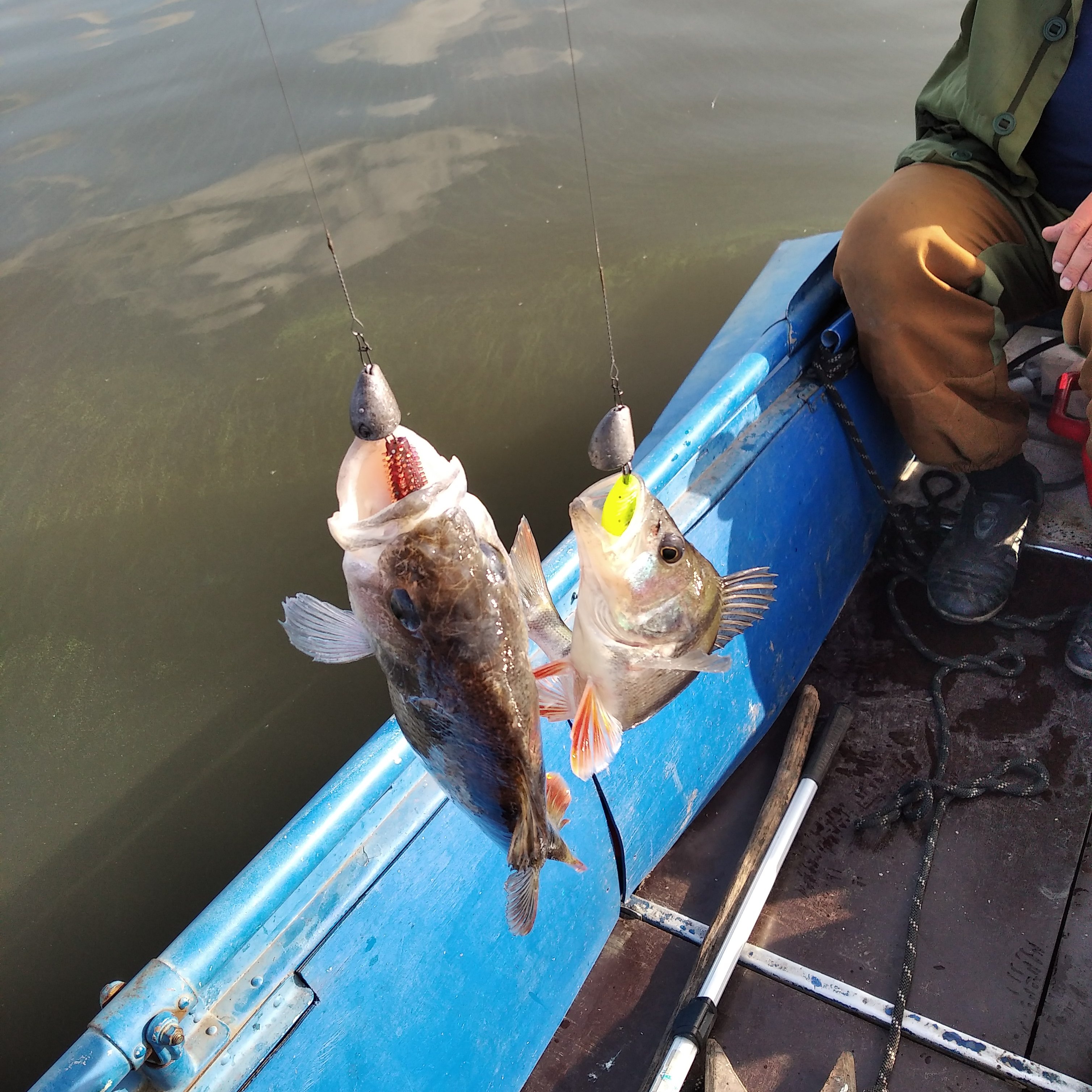 IMG 20230930 144444 — Postimages