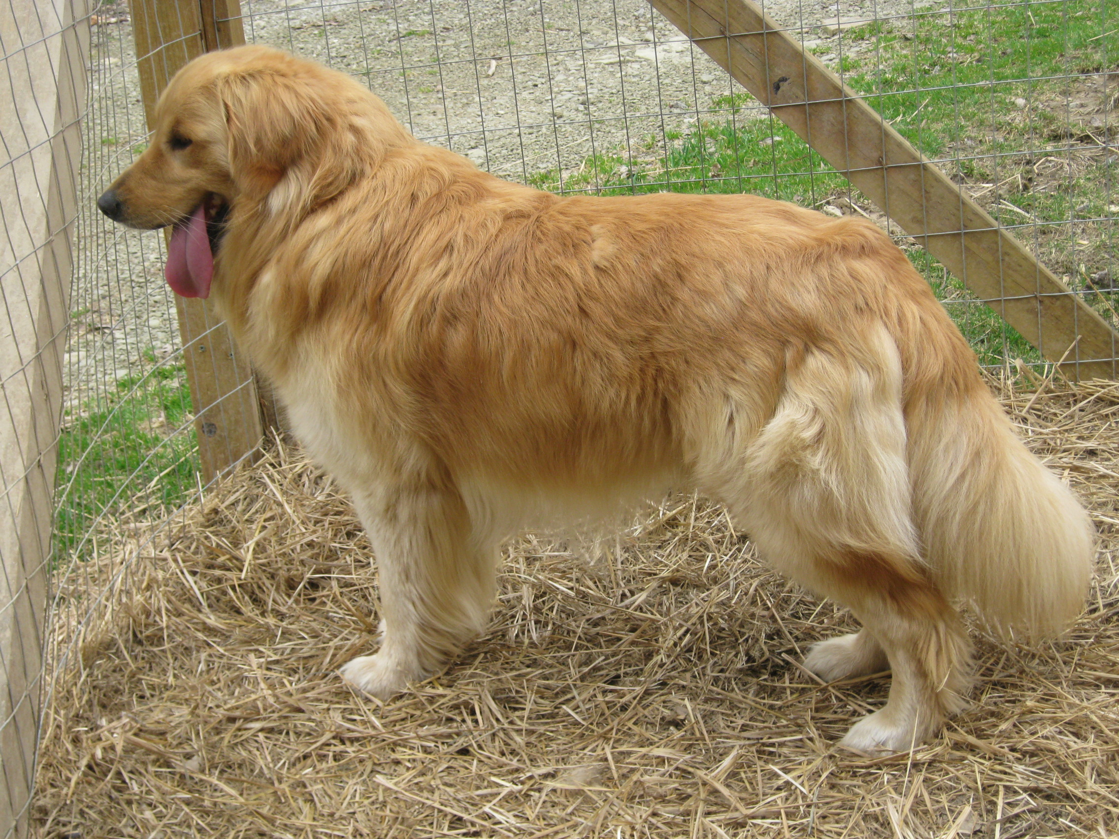 Remington 2 — Postimages