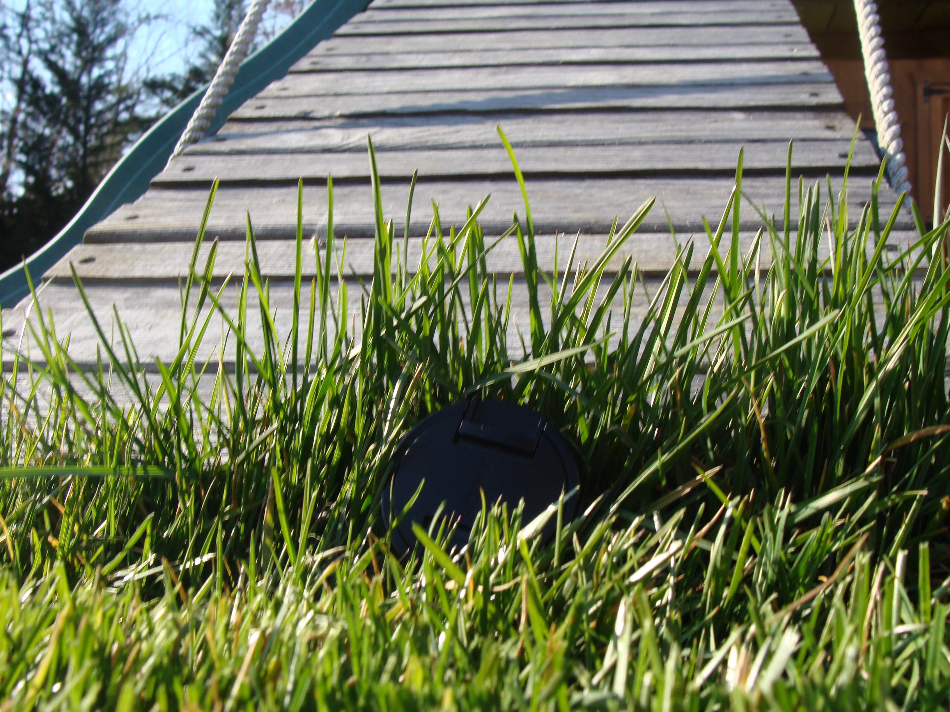 DSC04430 — Postimages