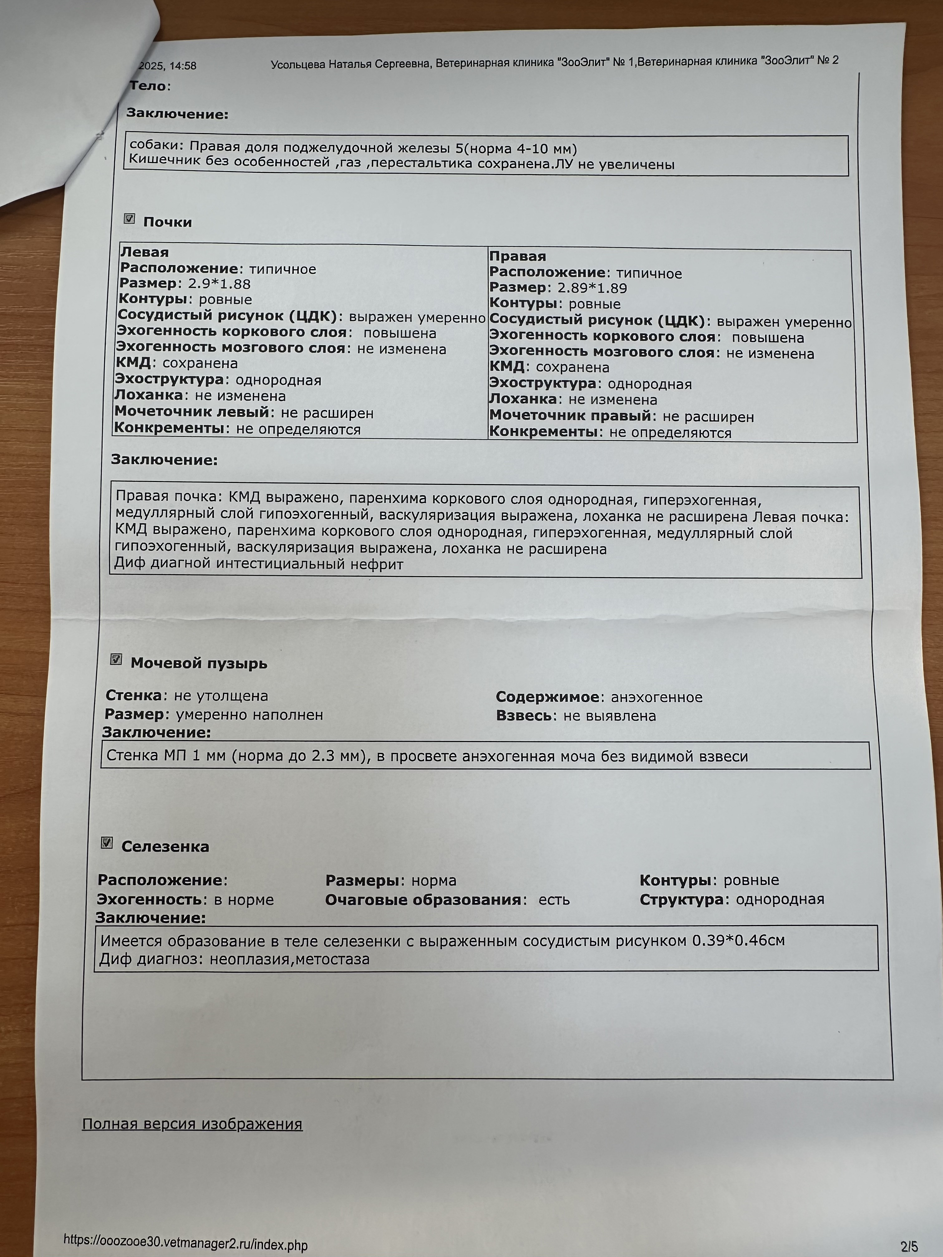 IMG 5952 — Postimages