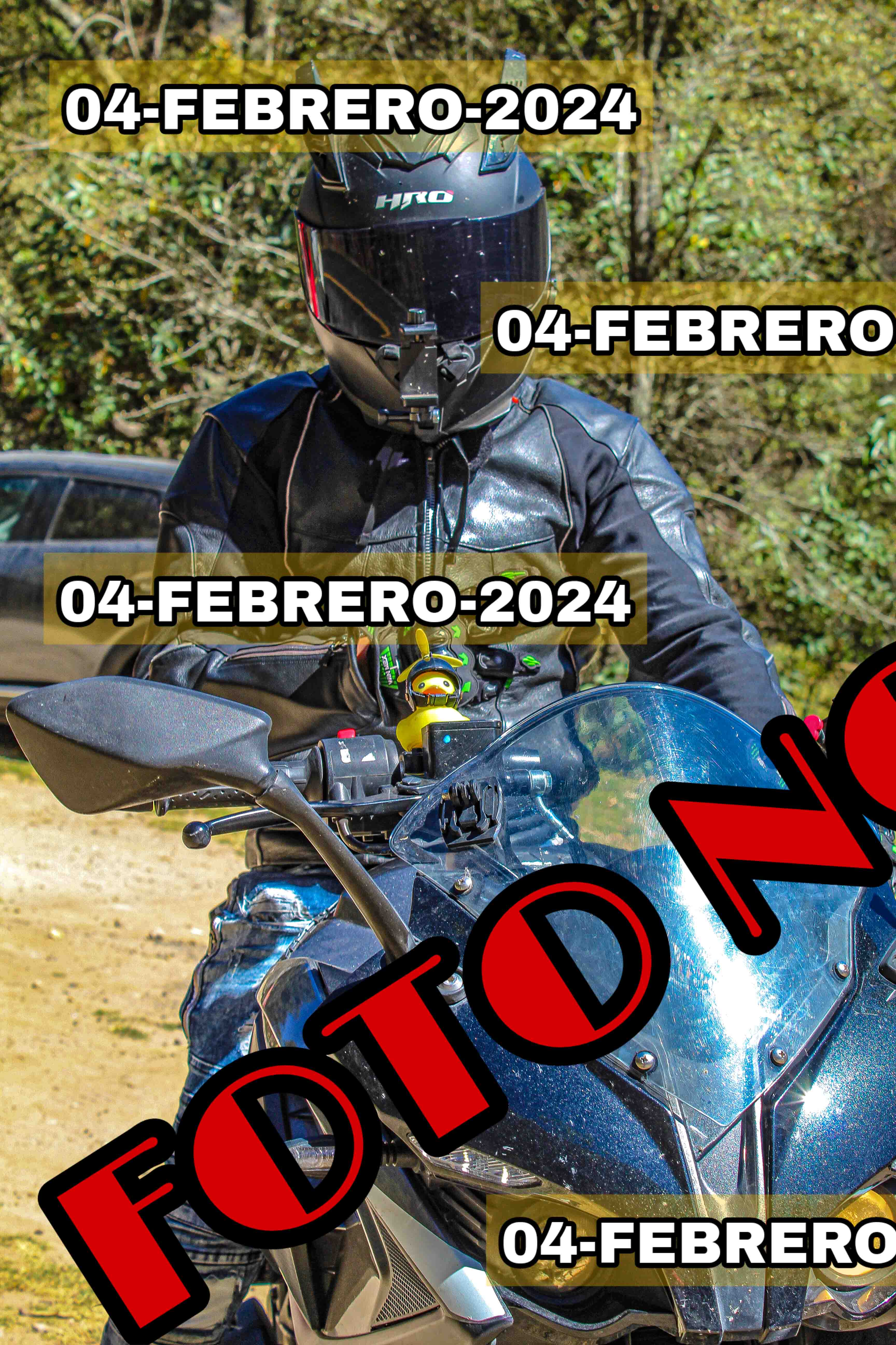 SC 113 — Postimages