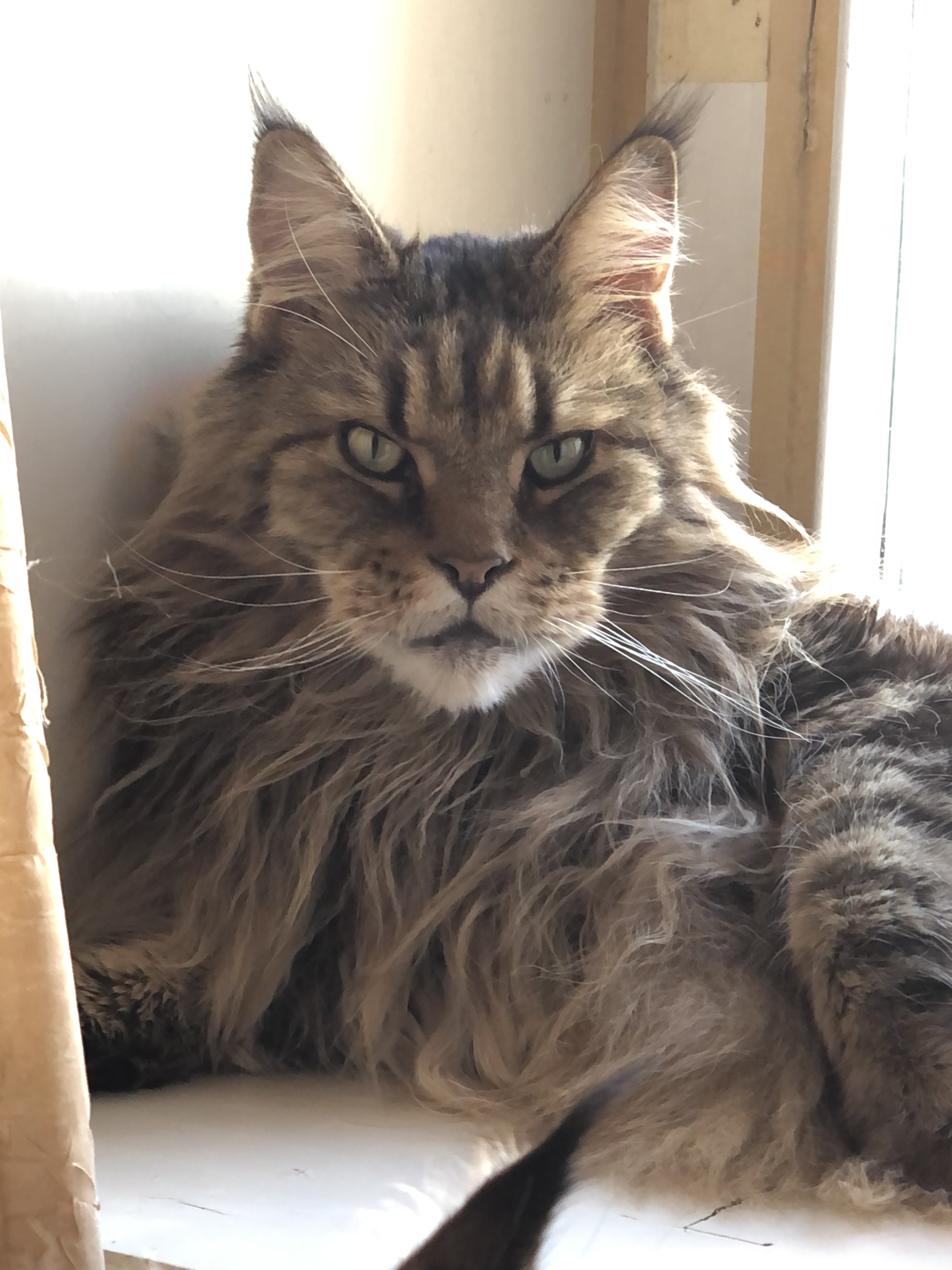 1 EBADB9 D 7564 4 C3 A BF7 F AA4 CD2 DB8 C18 — Postimages