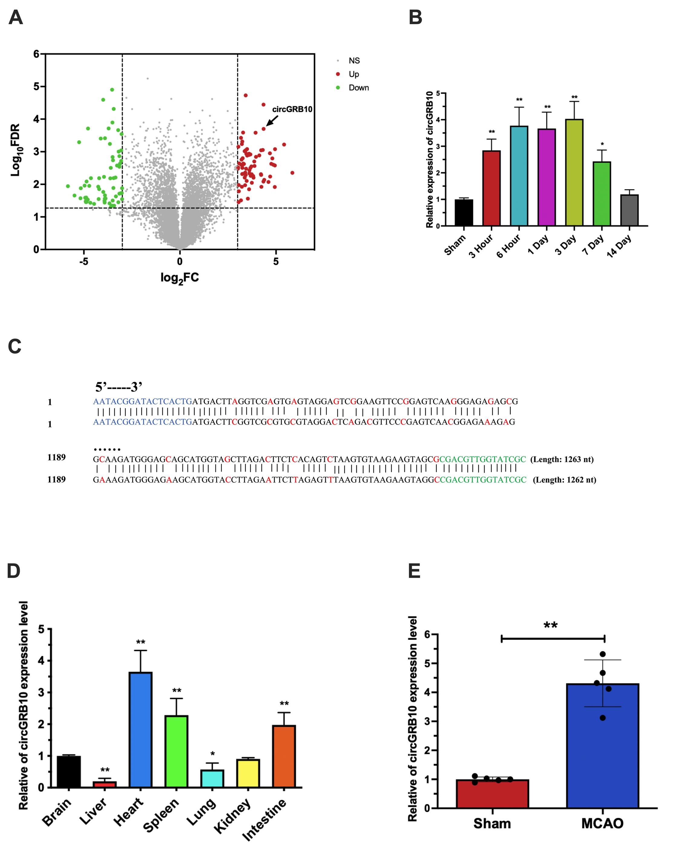 Figure 1 — Postimages