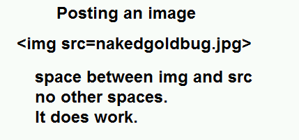 imageposting to voy — Postimages