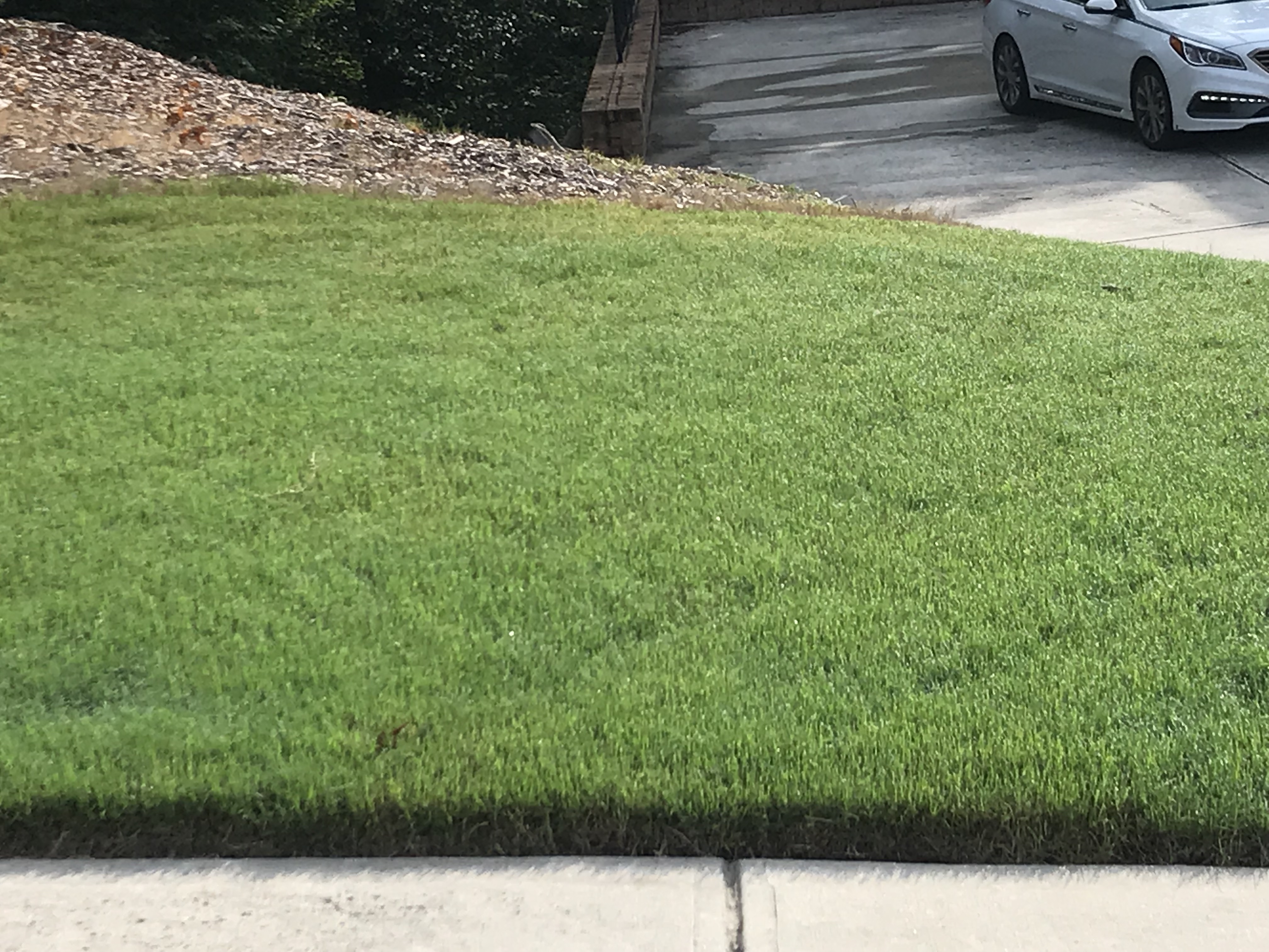 home front across2 — Postimages