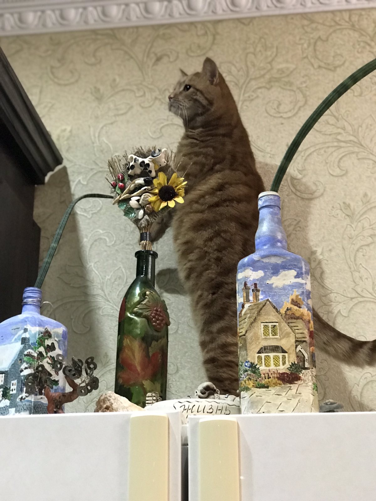 изображение viber 2022 12 23 12 30 06 575 — Postimages