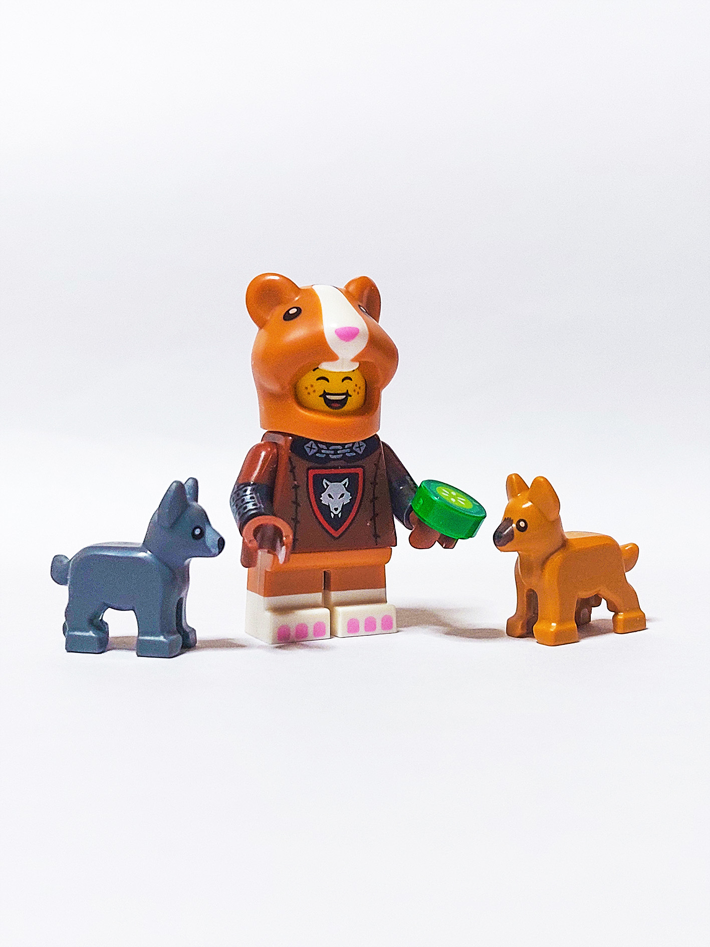 Criceto petsmaster — Postimages