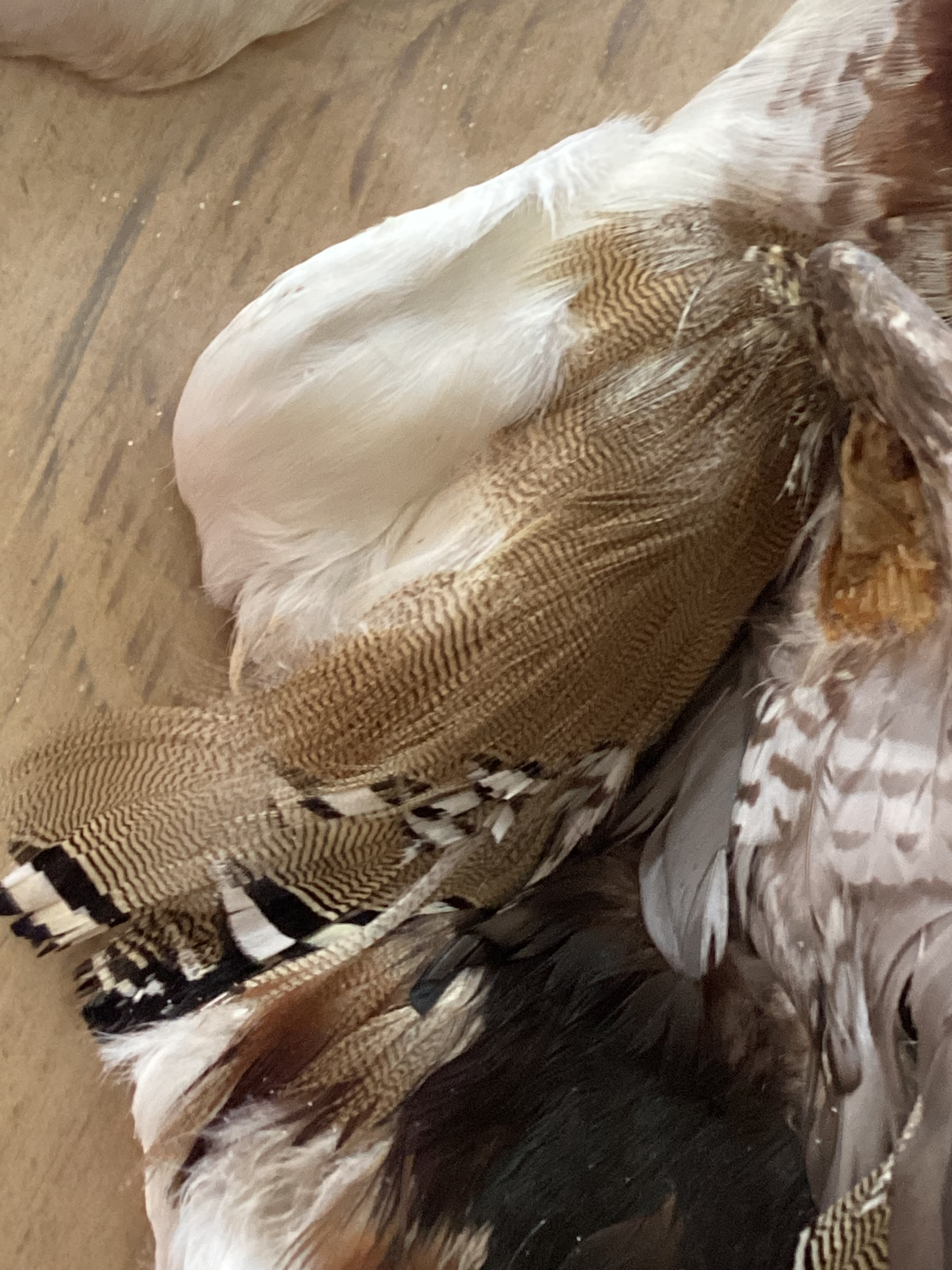 IMG 0272 — Postimages