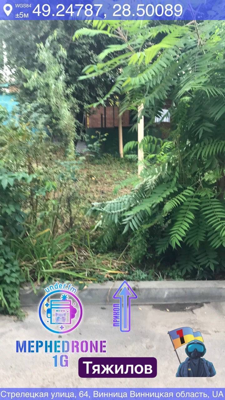 IMG 5615 — Postimages