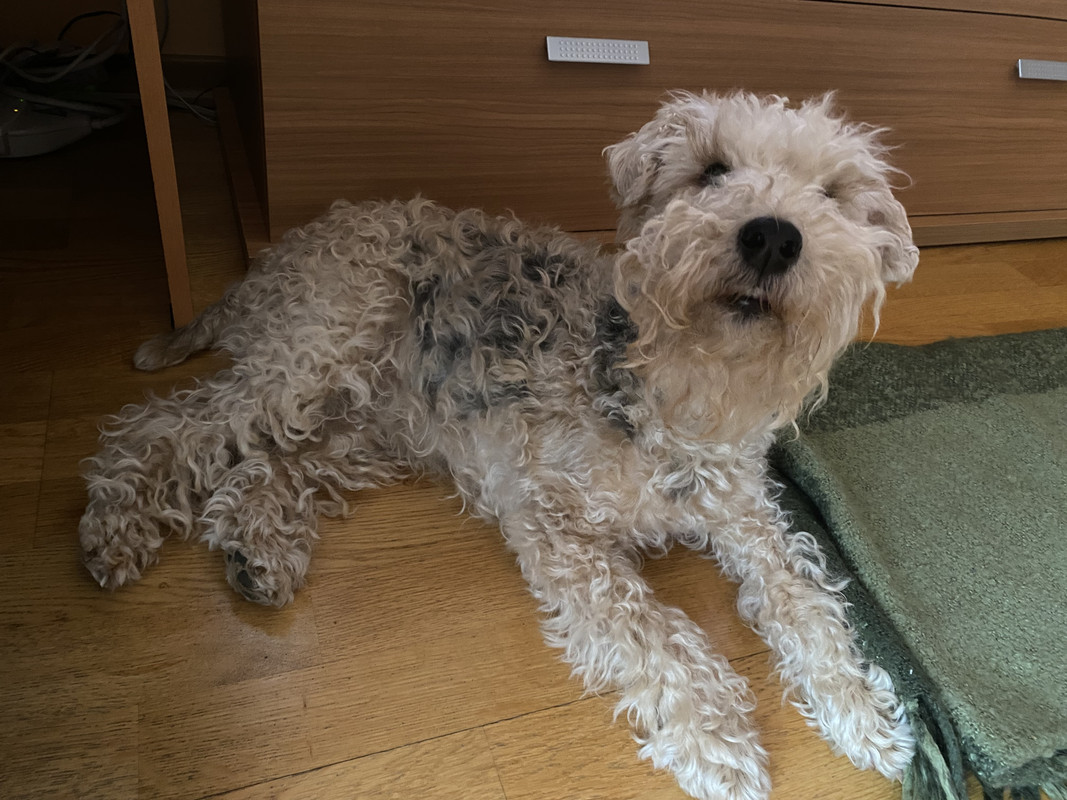 IMG 2277 — Postimages