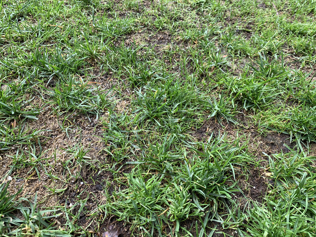 F6 AD7 EB3 9298 486 F 9 CFF F5 F034 BA08 A1 — Postimages