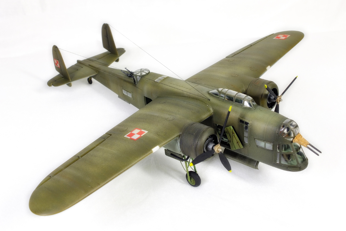 LWS-6 ZUBR - Ready for Inspection - Aircraft - Britmodeller.com