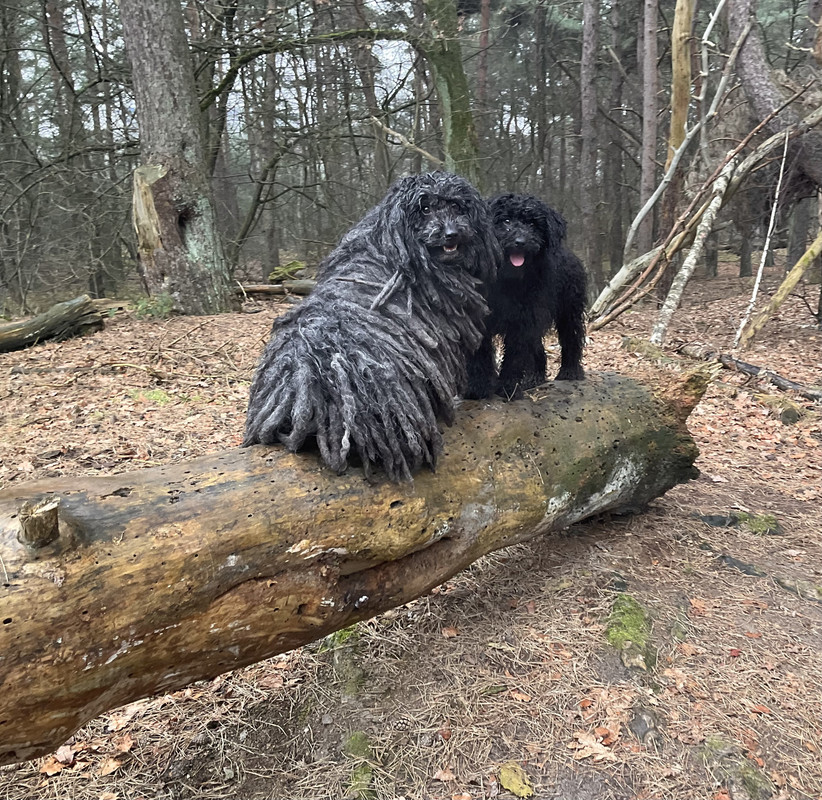 7 D6 BD7 D4 A56 E 438 B 92 BD 4 C4470783814 — Postimages