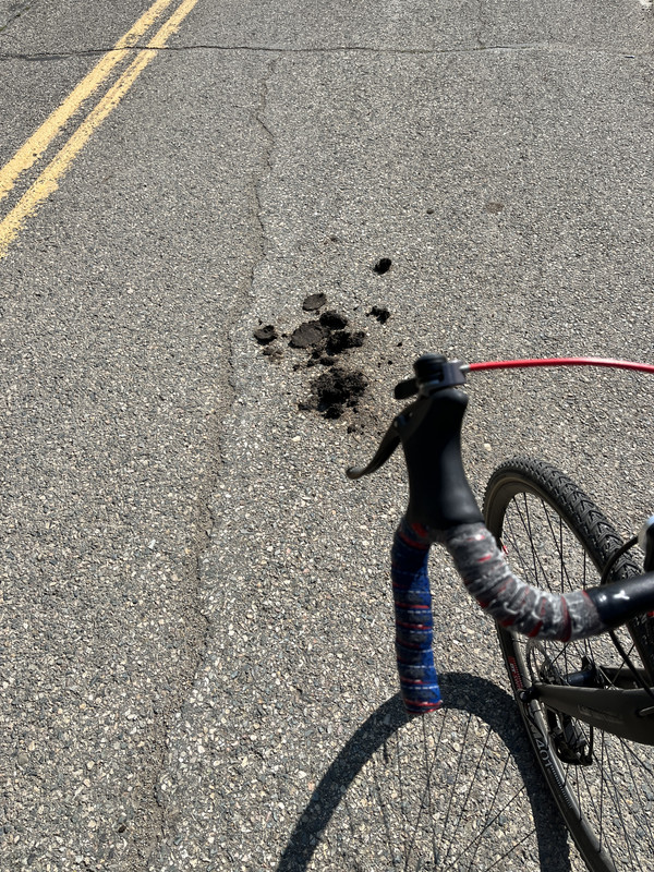 IMG 4139 — Postimages