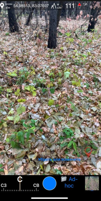 IMG 20221018 124106 — Postimages