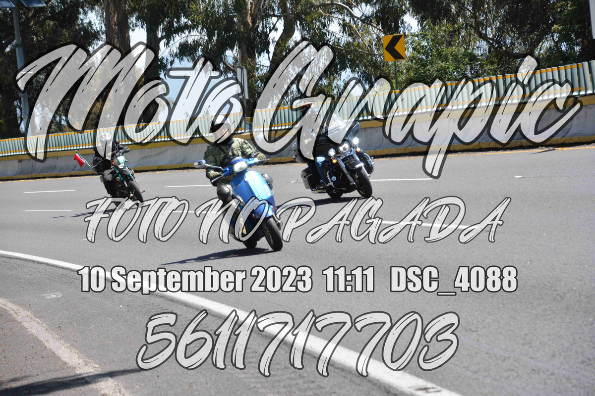 motgr DSC 4088 — Postimages