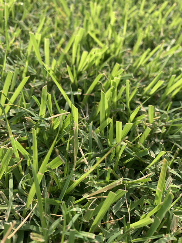 FDD3031 D AEAA 4 FE0 A296 C2 D1 AFA0 AB11 — Postimages