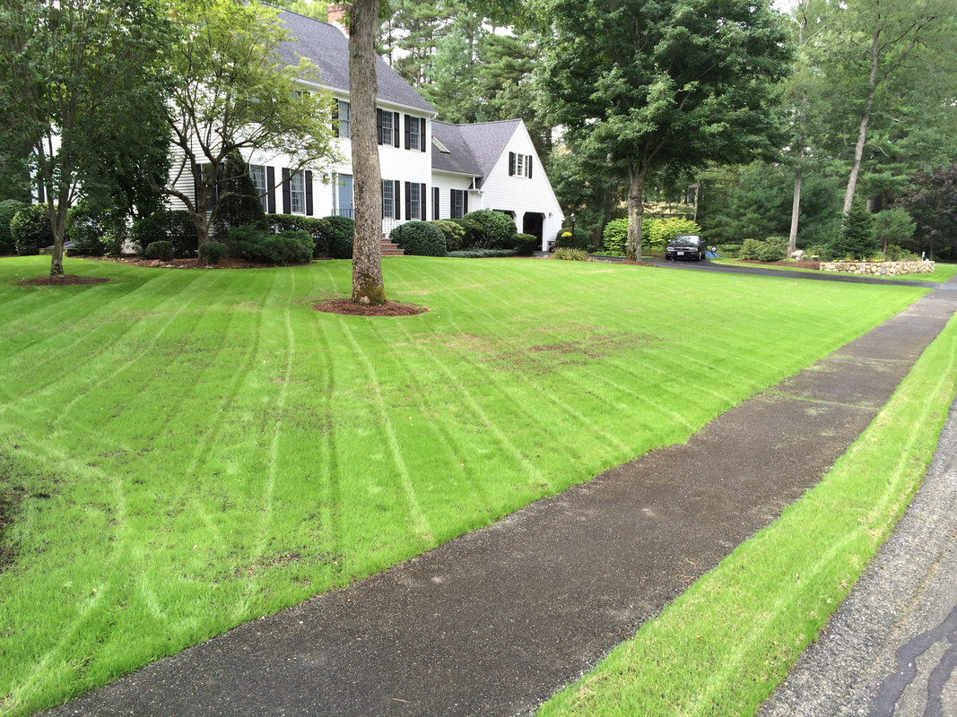 Sept 11 2016 (10) — Postimages