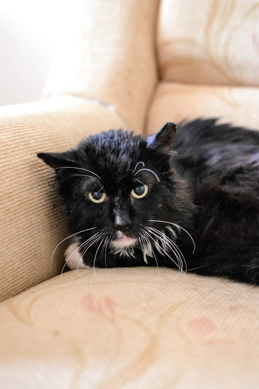 DSC 1611 2 — Postimages