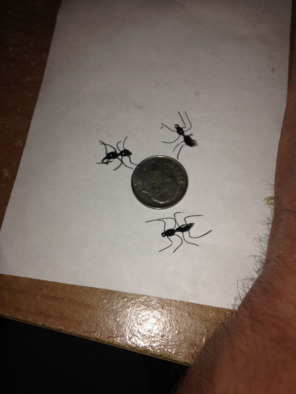 IMG 2307 — Postimages