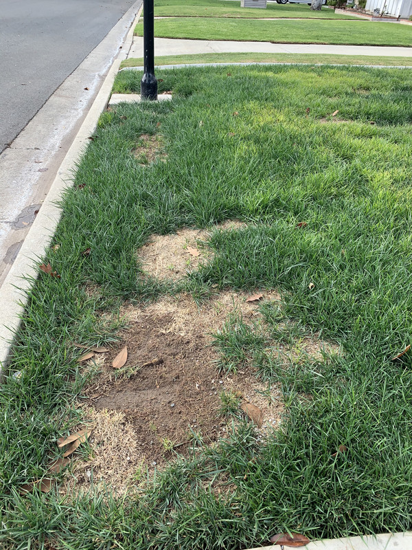 EC5 ECC66 C593 4 C20 AEE5 E97 DEB6 B4 B17 — Postimages