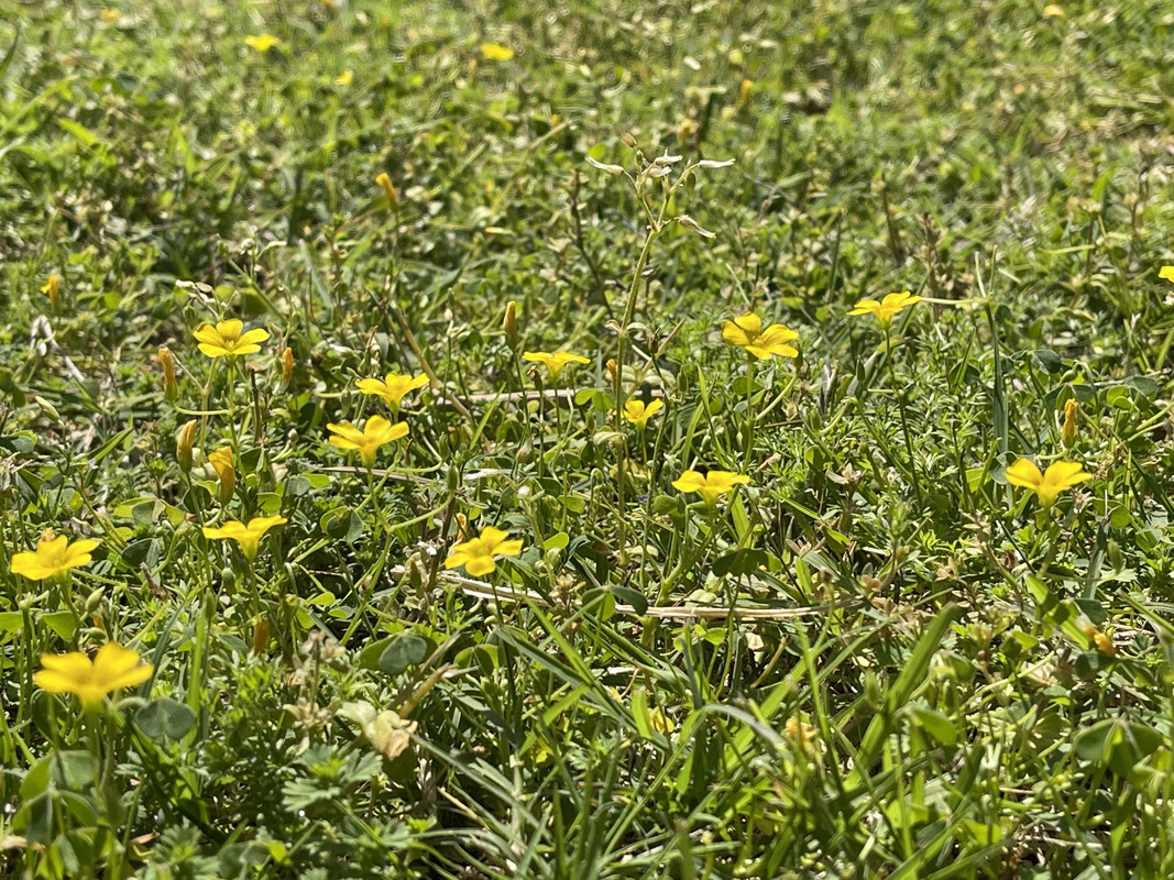 61 D00138 B803 4 AFF B9 EB 33583839 F477 — Postimages